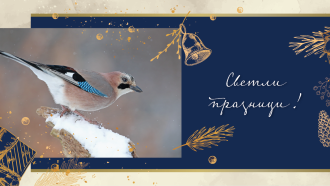 Подновяване на електронните подписи B-Trust след 1 юли 2017 | БОРИКА АД